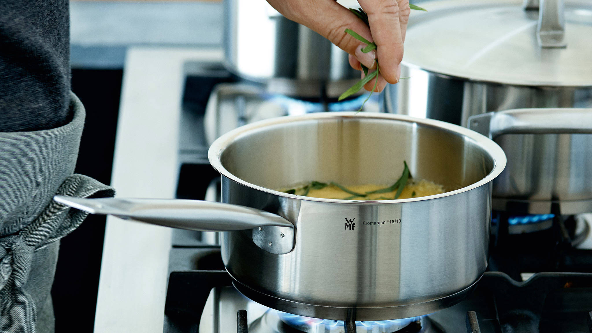 Saucepans | WMF Singapore